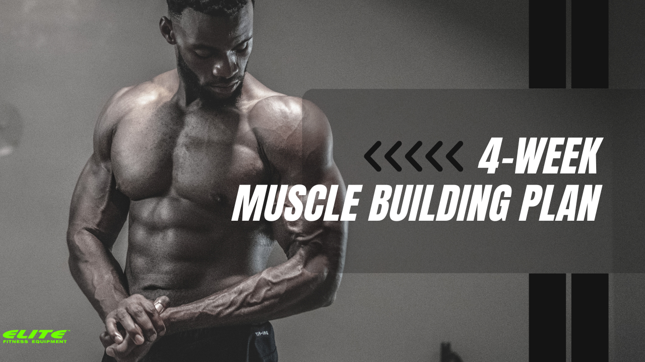 Complete Workout Plan to Build Strength and Muscle