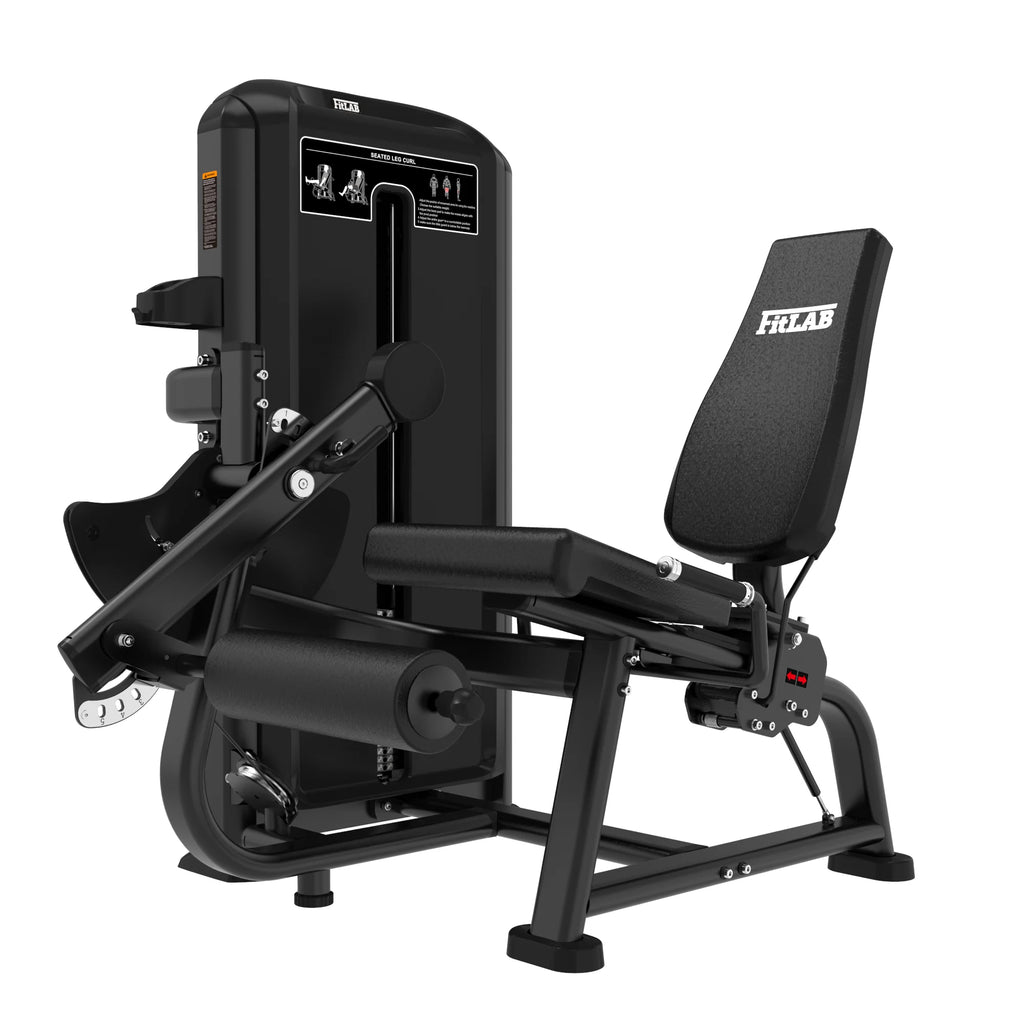 Seated Leg Extension